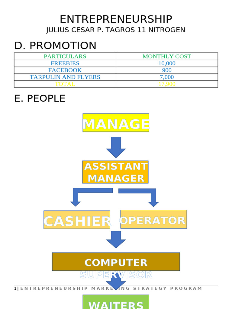 Entrepreneurship Marketing Strategy Program 2 | PDF | Business ...