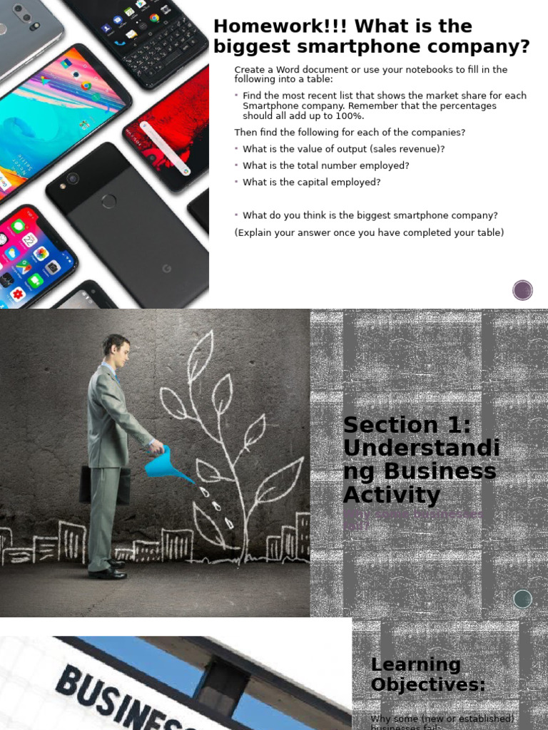 Section 1 - Why Some Businesses Fail | PDF | Airlines | Business