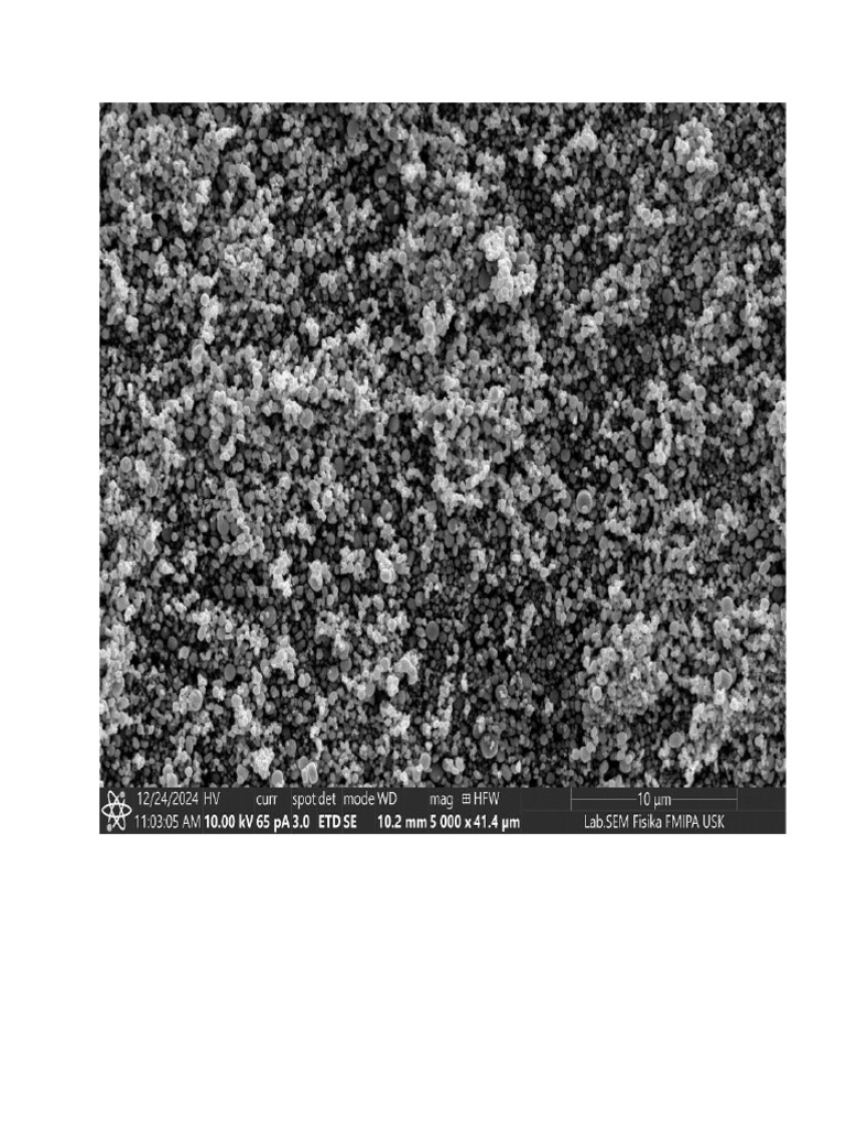 SEM EDX Yunita Wahyu Ningrum | PDF