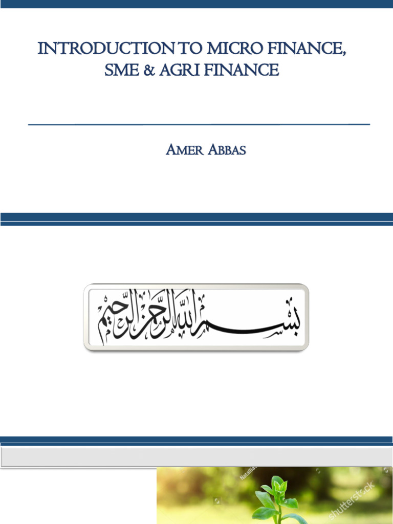 Micro Finance SME & Agri Finance | PDF | Small And Medium Sized Enterprises | Cost Of Living