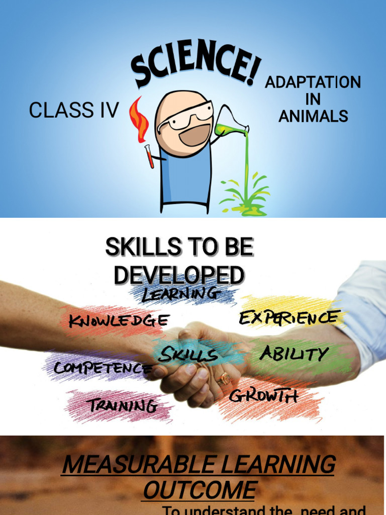 Animal Adaptation for Class 4 | PDF