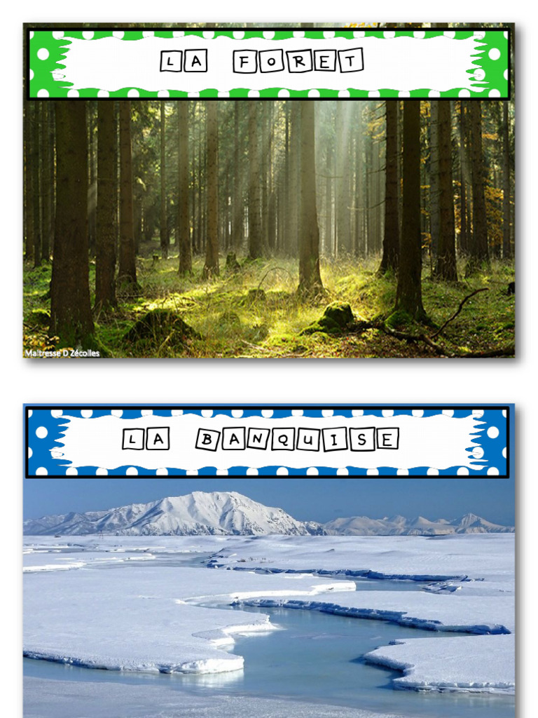 Ob - 4b59e1 - MDZ Lieu de Vie Des Animaux | PDF