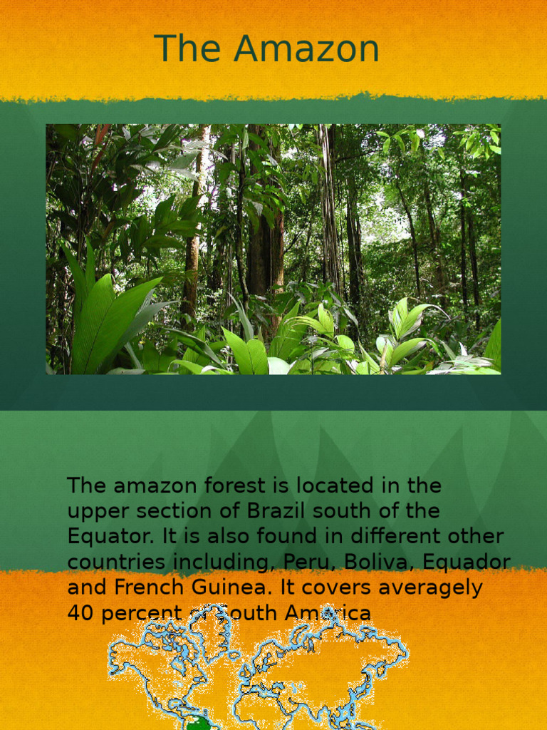 Amazon Rainforest Case Study | PDF | Amazon Rainforest | Natural ...
