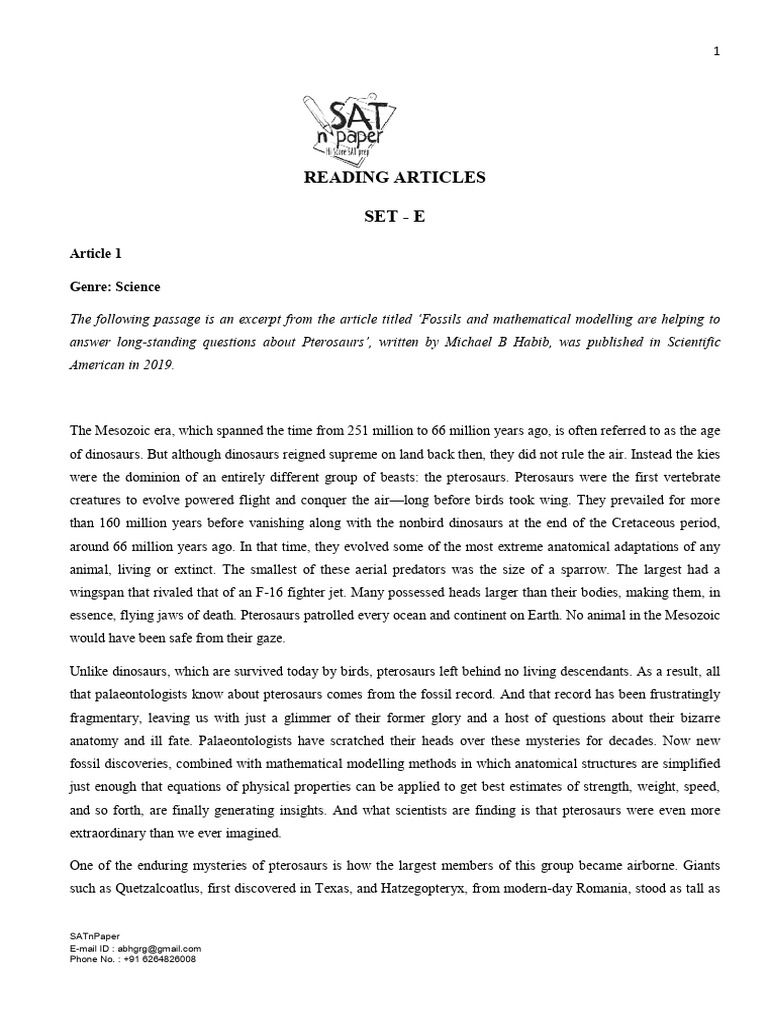 Reading Articles SET - E | PDF | Cycling Infrastructure | Meat