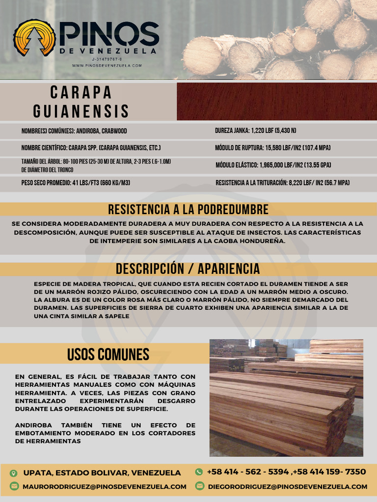 FT Carapa Guianensis - Carapa | PDF
