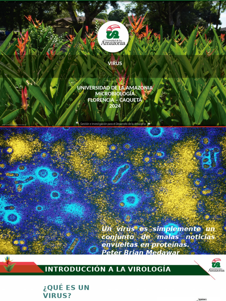 Virus - 2024 | PDF | Virus | Rna