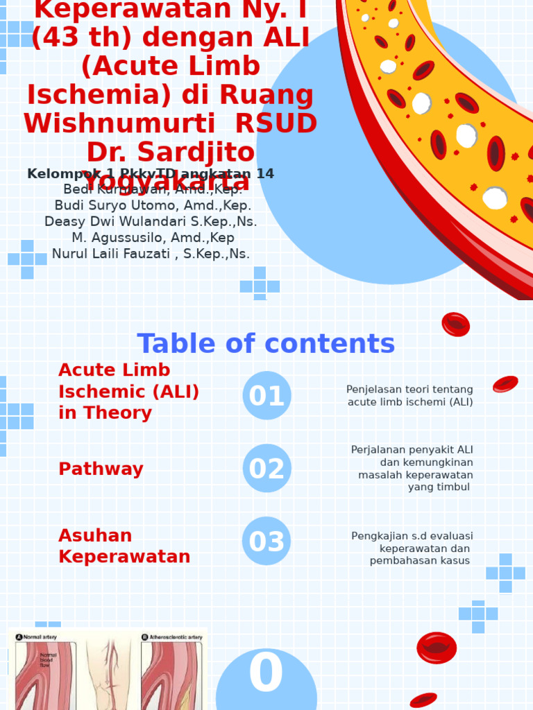 Askep Dengan Pasien Ali - Kelompok 1 | PDF