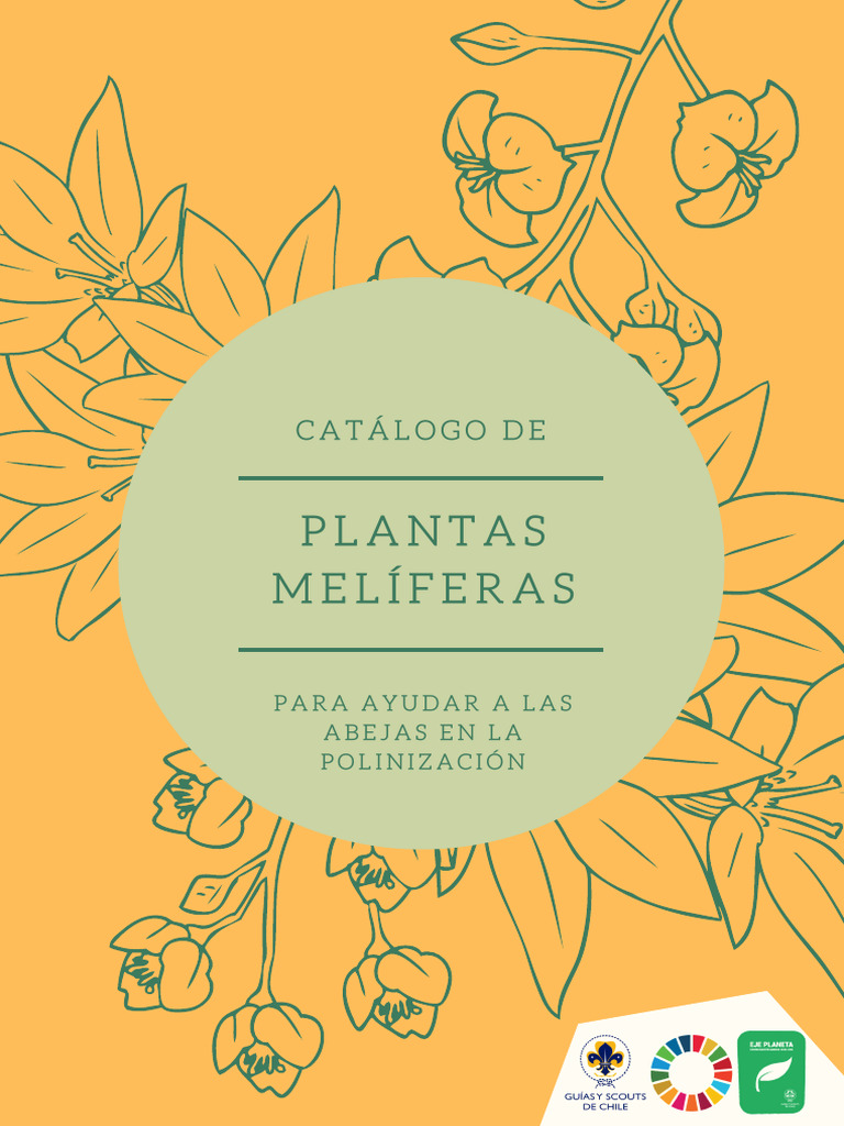 Plantas Meliferas Abejas | PDF | Abejas | Polinización