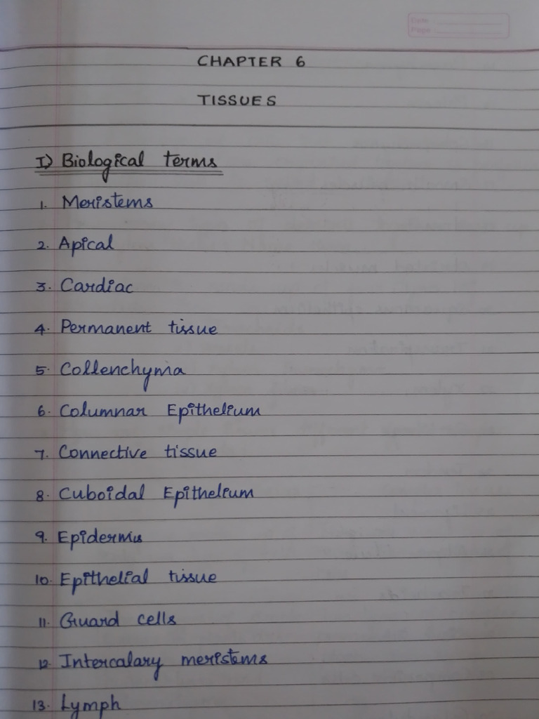 Grade 9 Tissues | PDF