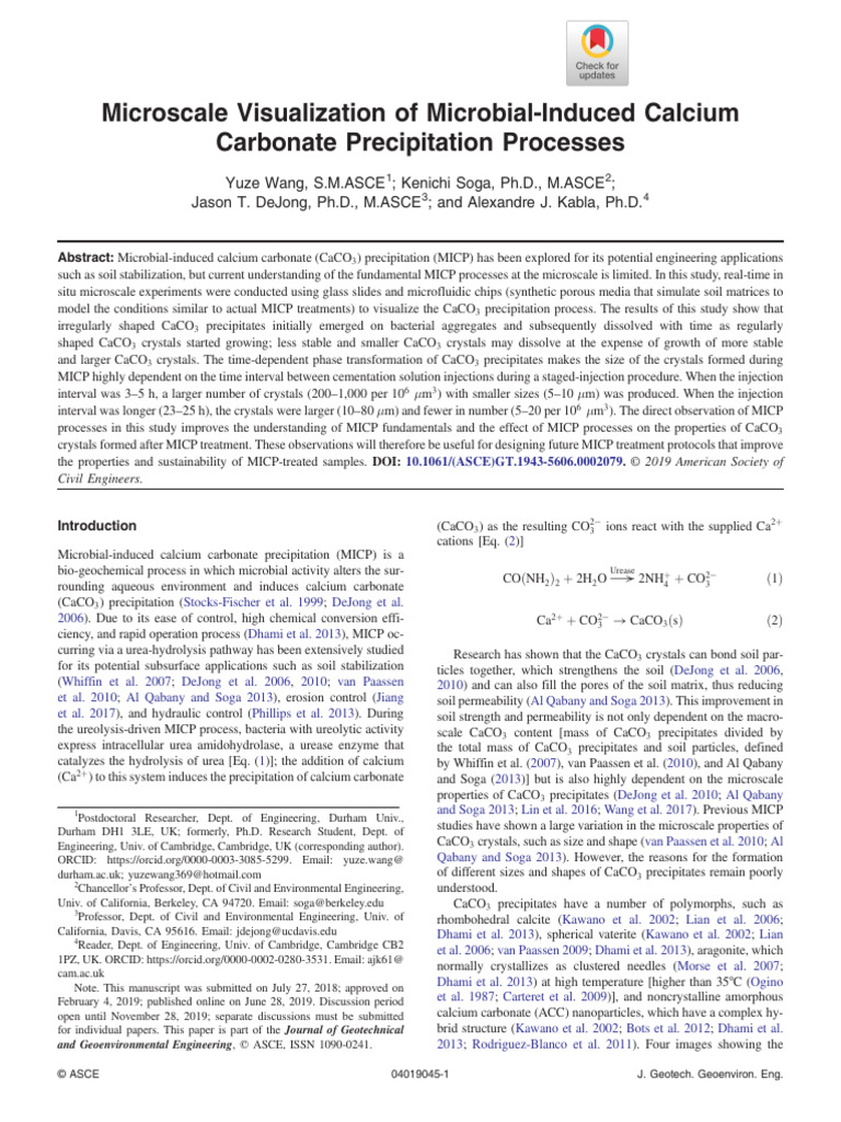 88 Wang Et Al 2019 Microscale Visualization of Microbial Induced Calcium Carbonate Precipitation ...