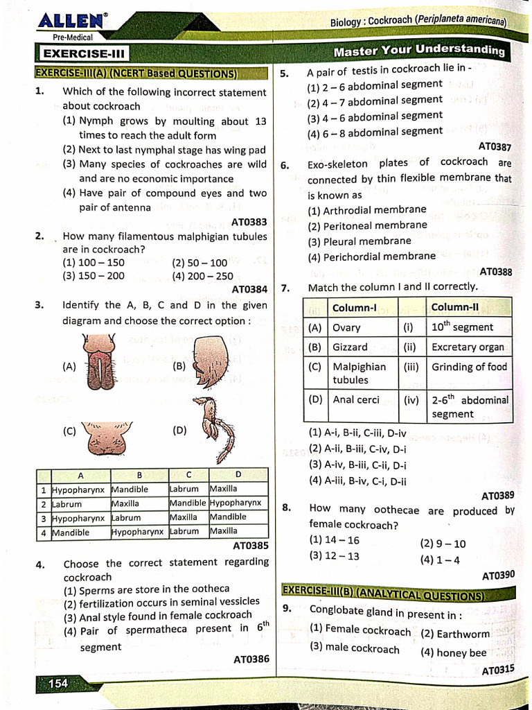? Cockroache | PDF