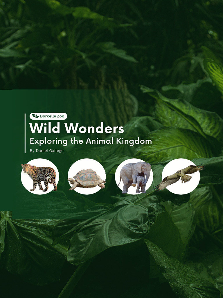 Wild Wonders | PDF