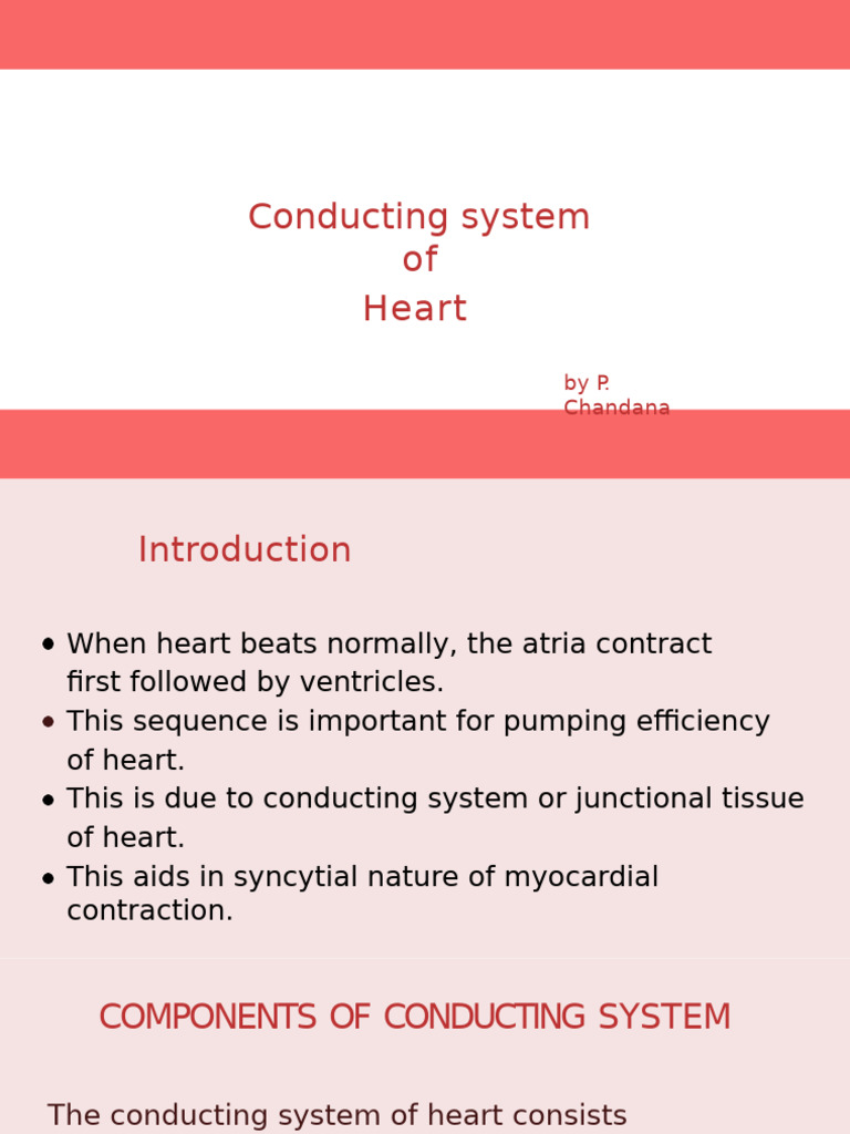 Conducting System of Heart | PDF | Heart | Atrium (Heart)