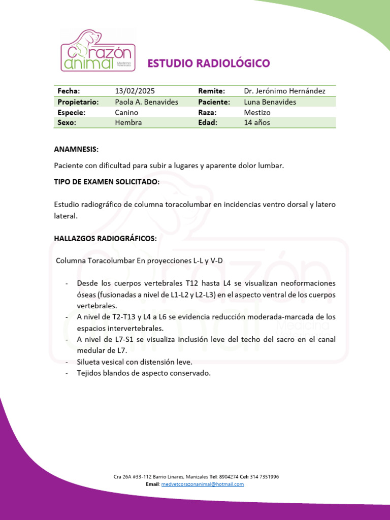 Luna Benavides Rx TL | PDF