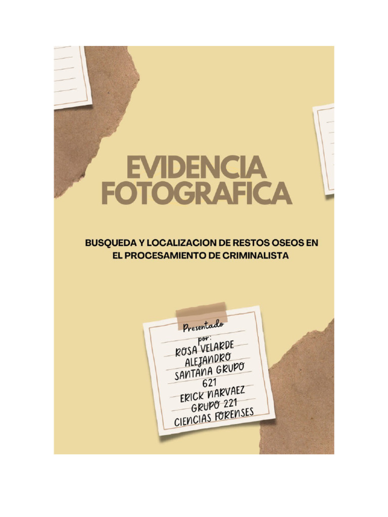 EVIDENCIA | PDF