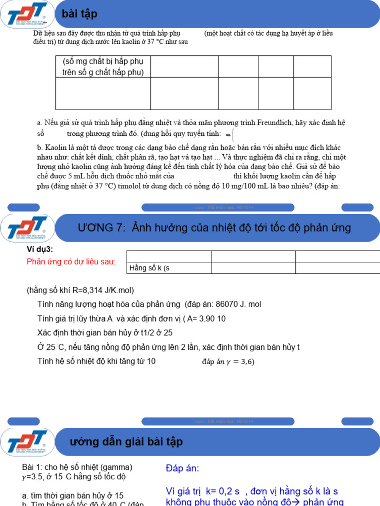 Đáp Án BT HLD | PDF