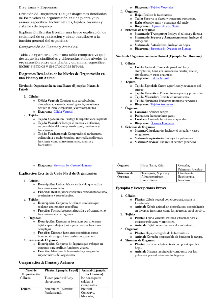 Diagramas y Esquemas Cta - Tarea | PDF | Plantas | Tejido (biología)