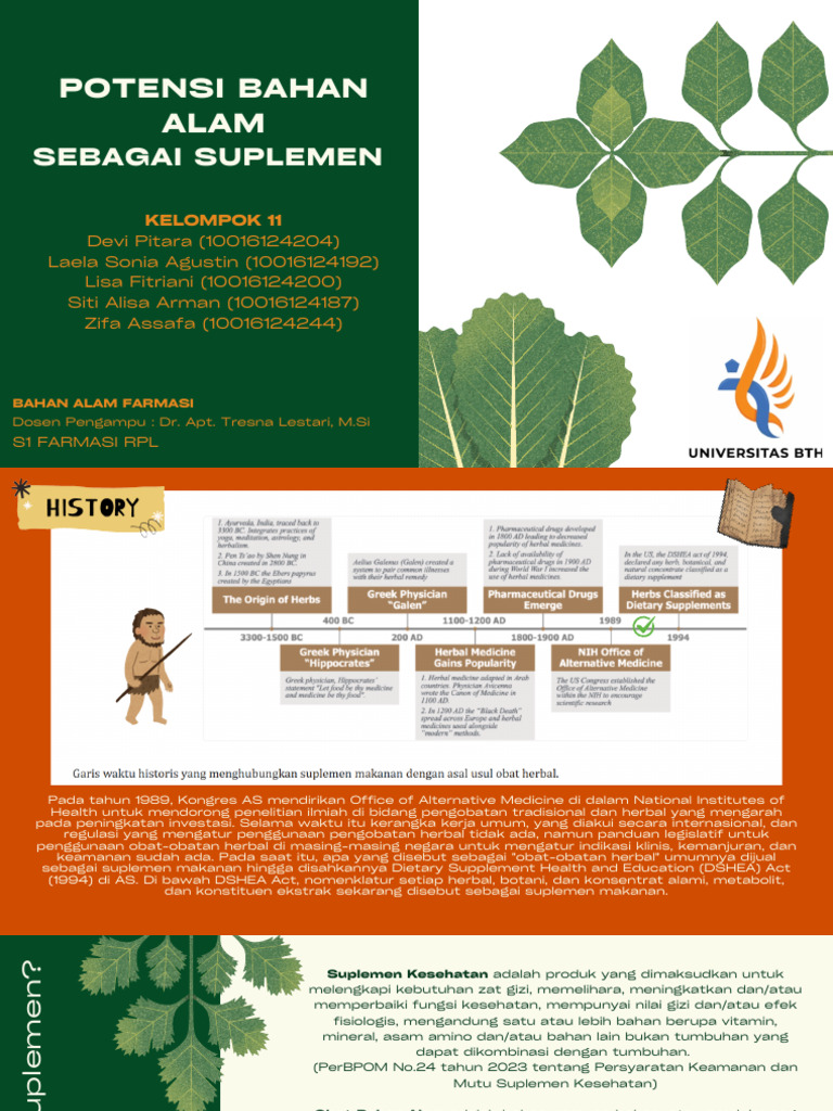 Kel 11 Bahan Alam (Suplemen) | PDF