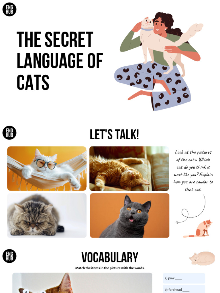A1 The Secret Language of Cats SV | PDF | Cats | Raccoon