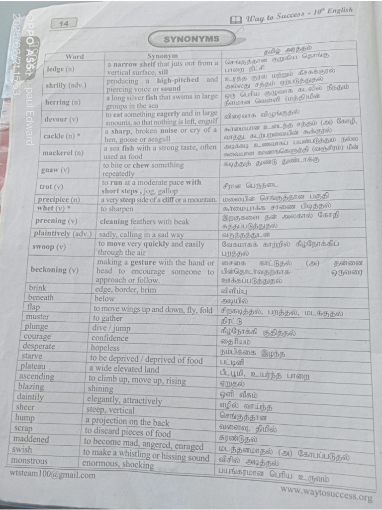 10th English Guide | PDF