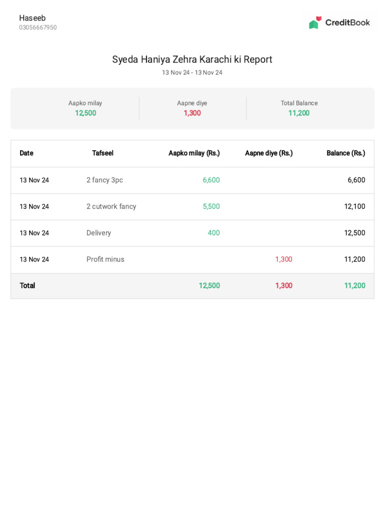 Haseeb_CustomerReport_1731463717466.pdf | PDF