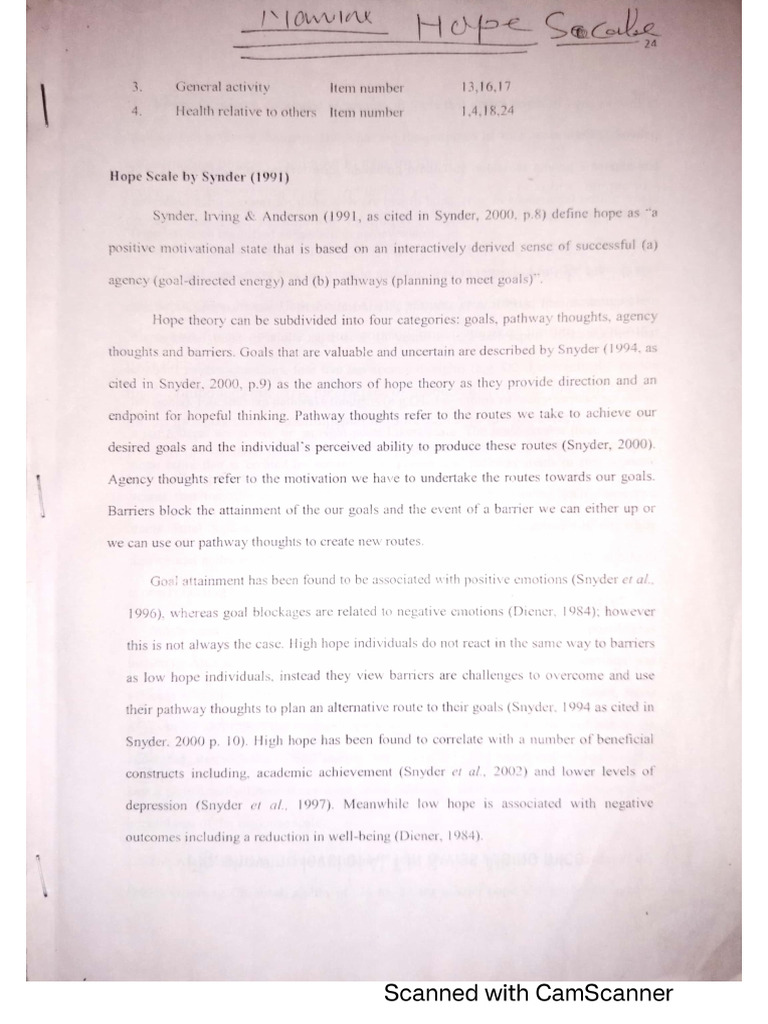 Manual Hope Scale | PDF