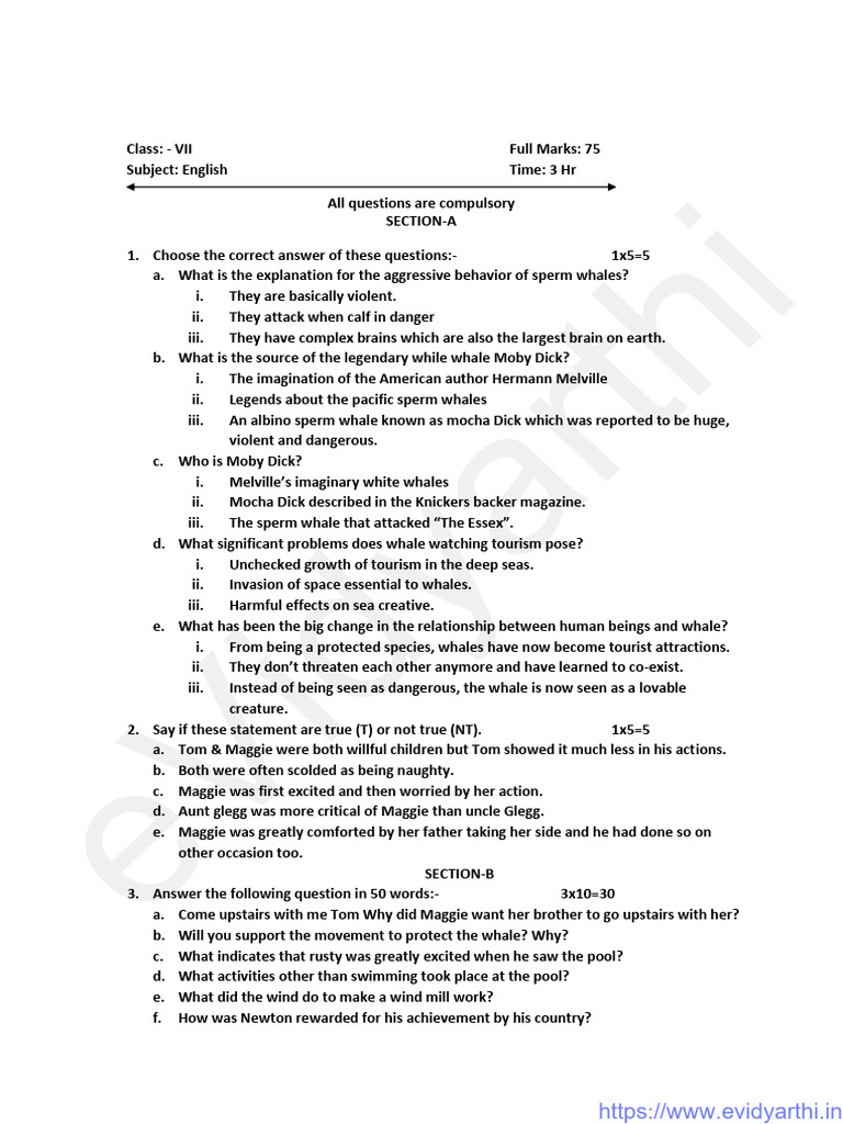 English Sample Paper 1 | PDF | Whales | Moby Dick