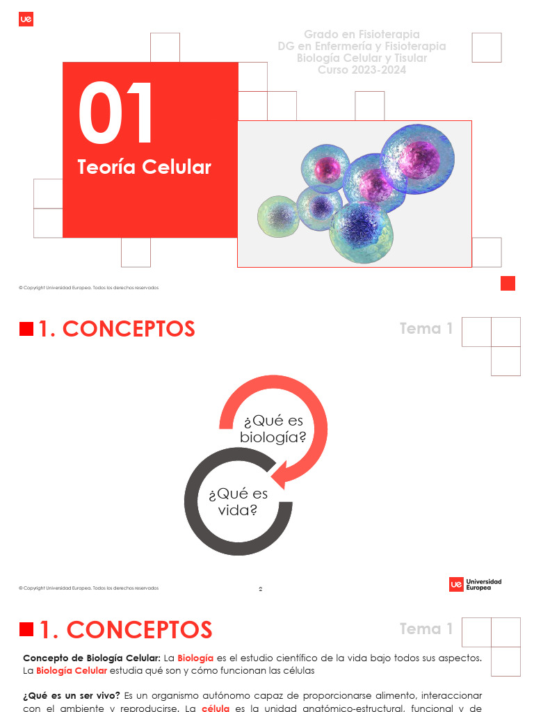 TEMA 1 - Teoría Celular | PDF | Biología Celular) | Eucariotas