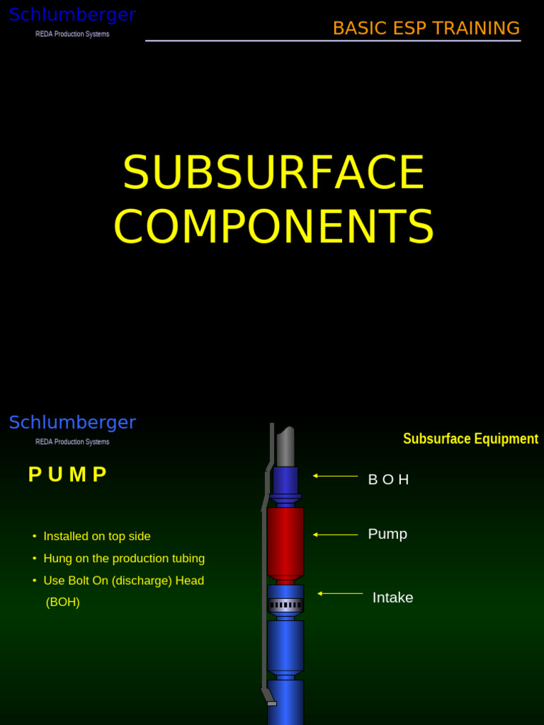 Basic ESP Training: Pump Systems Overview | PDF | Pump | Horsepower