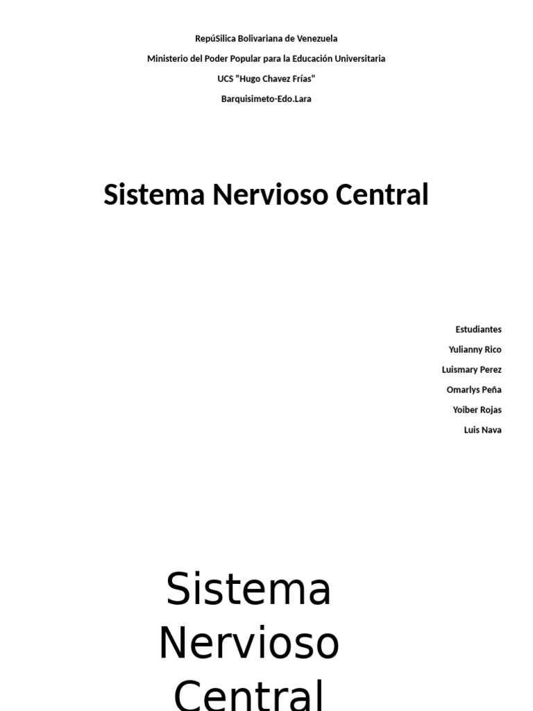 Estructura y Funciones del SNC | PDF | Cerebro | Sistema nervioso central