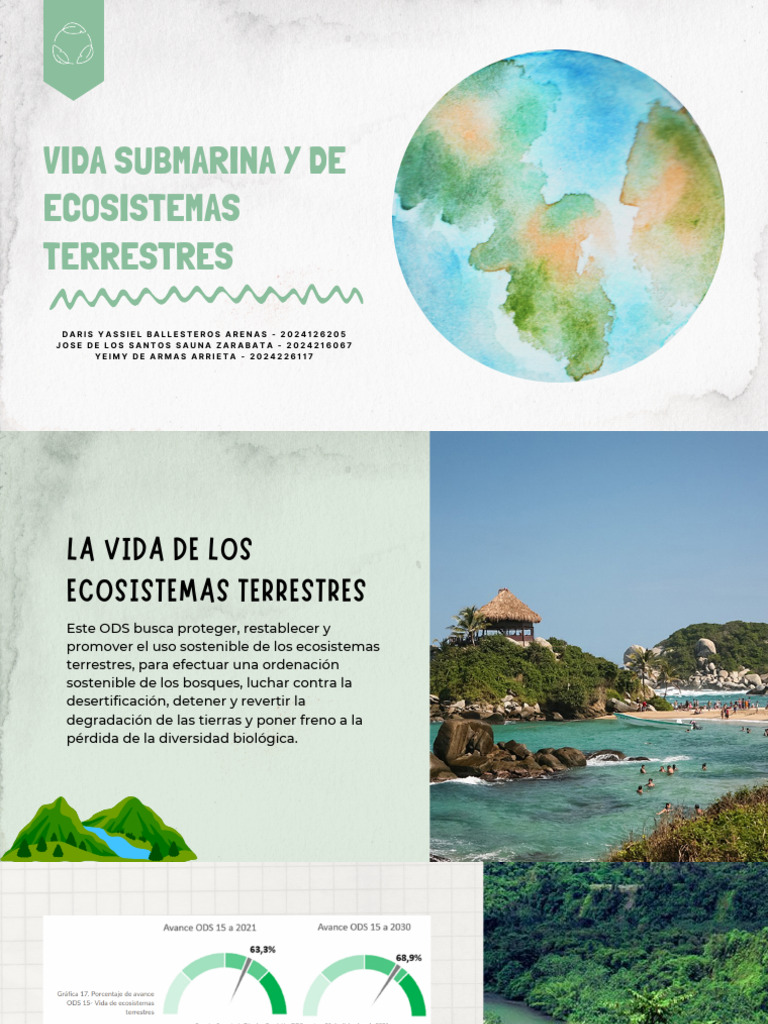 Presentacion Catedra Global | PDF