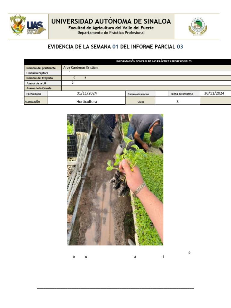 EVI1_INF3_SEM1_ARCE_CARDENAS_KRISTIAN | PDF