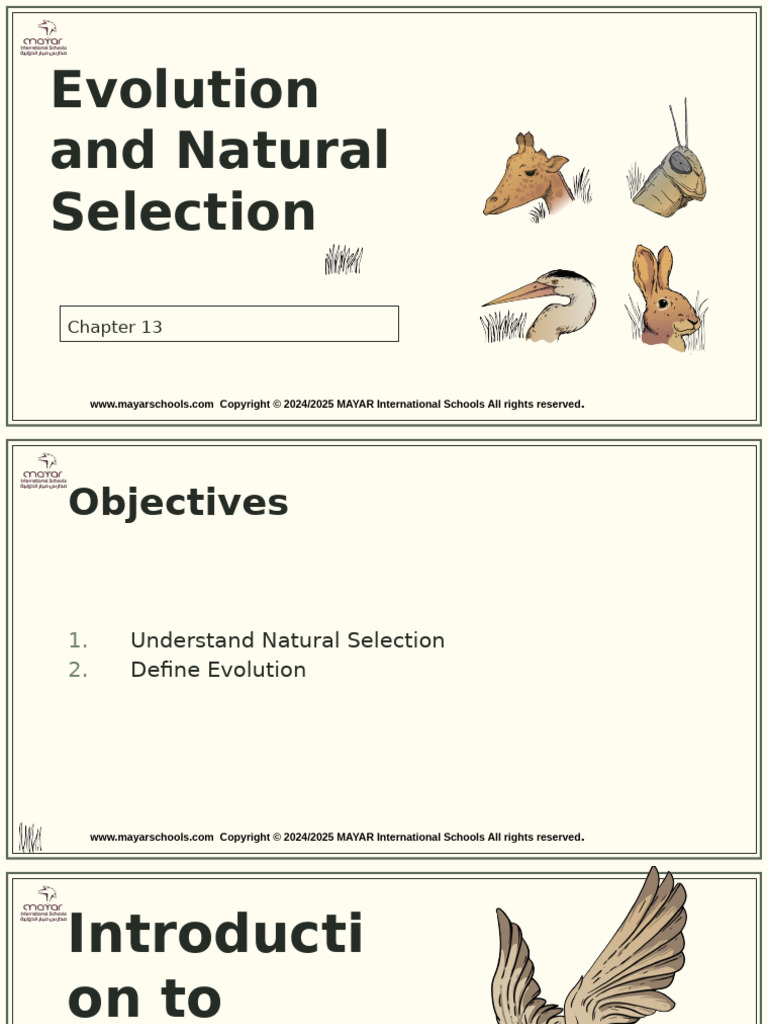 3143 Evolution and Natural Selection1 | PDF | Natural Selection | Evolution