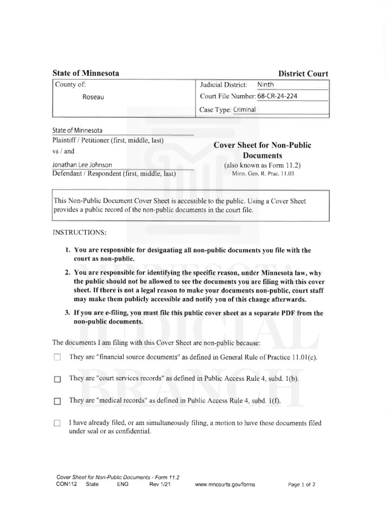 Minnesota Non-Public Court Document Cover Sheet | PDF | Justice | Crime ...