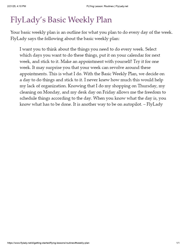FLYing Lesson_ Routines _ FlyLady.net | PDF