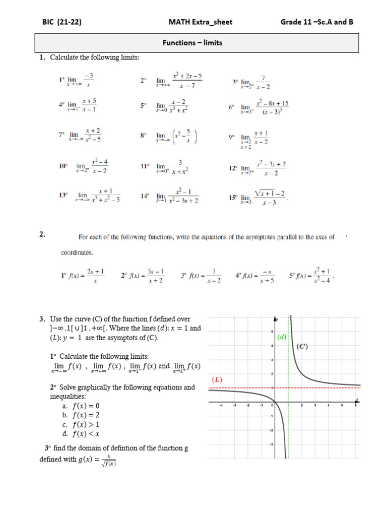 BIC-MATH_sheet2 -functions(limits) | PDF