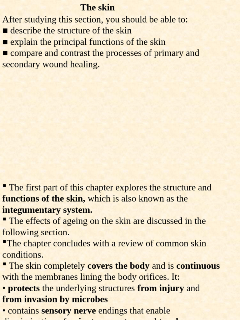 Skin Structure and Functions Guide | PDF | Skin | Epithelium