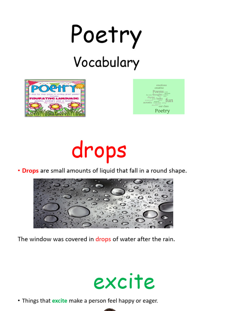 Understanding Poetry Terms and Techniques | PDF