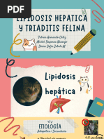 Triaditis Felina | PDF | Inflamación | Páncreas