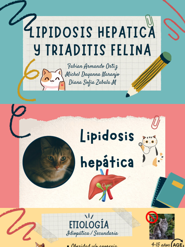 Lipidosis Hepática y Triaditis Felina | PDF | Bilis | Especialidades ...