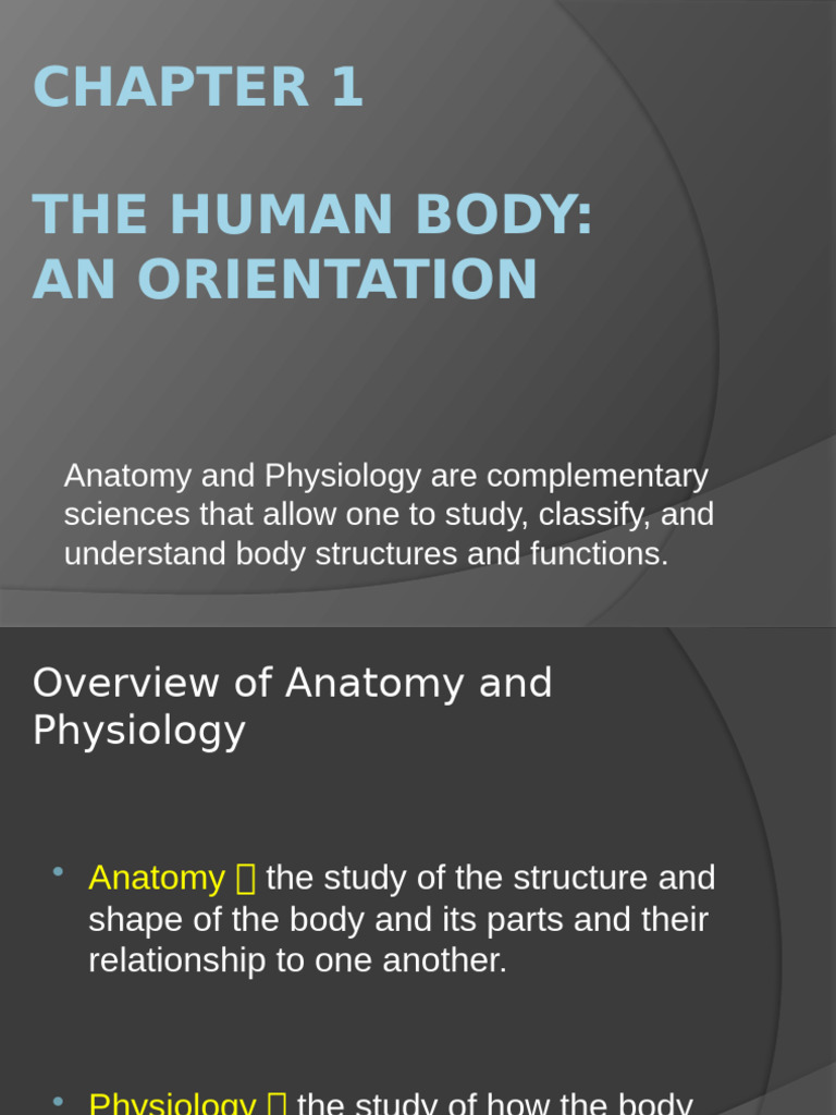 Anatomy and Physiology Overview | PDF | Human Body | Homeostasis