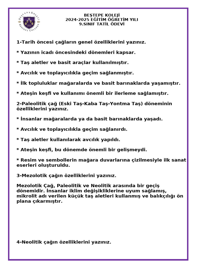 9 Sinif Tarih Tatil Odevi Kagidi | PDF