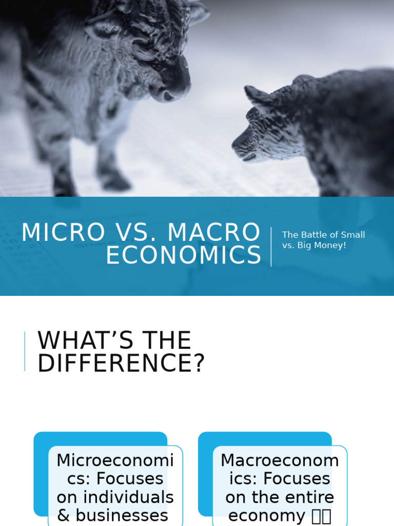 Micro vs Macro Economics | PDF