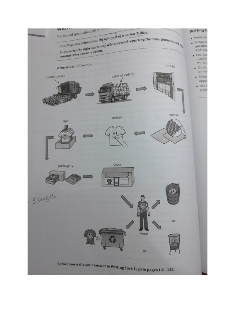 Writng Process T-Shirt | PDF