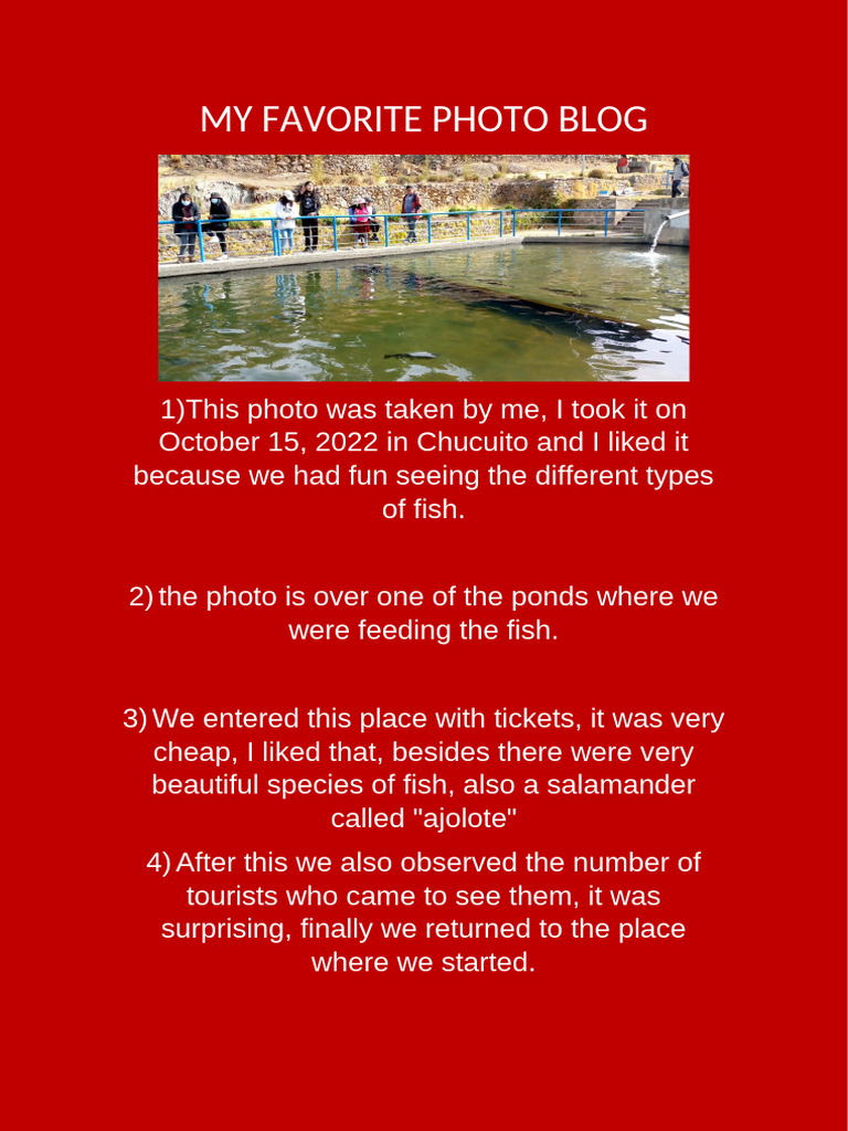 Chucuito Fish Pond Photo Blog | PDF