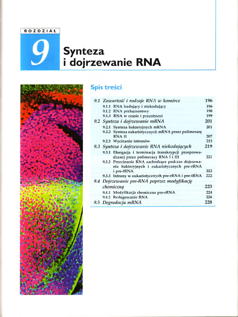 9 - Synteza I Dojrzewanie RNA Wykład | PDF