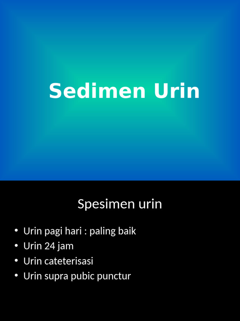 MATKUL URINALISA T (Paktikum Sedimen Urin 4) | PDF