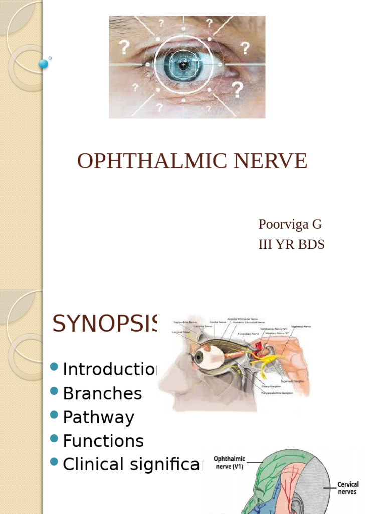 Ophthalmic Nerve: Anatomy and Functions | PDF