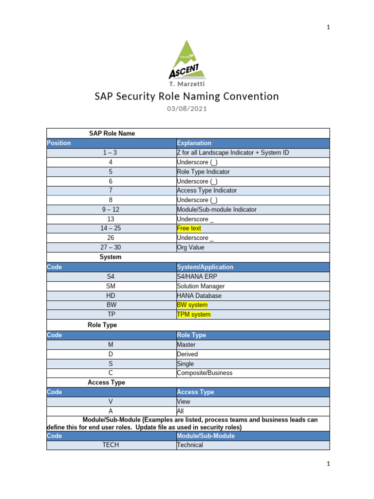 SAP Security Role Naming Guide | PDF | Debits And Credits | Business