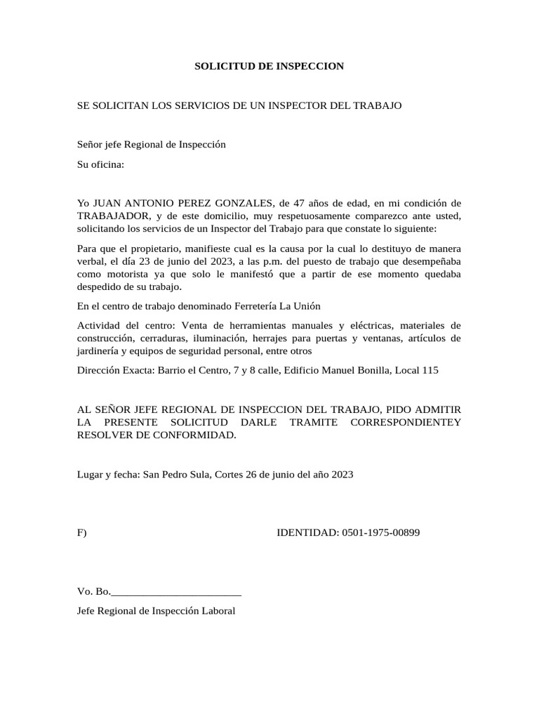 SOLICITUD DE INSPECCION - Grupo 12 | PDF | Demanda judicial | Justicia